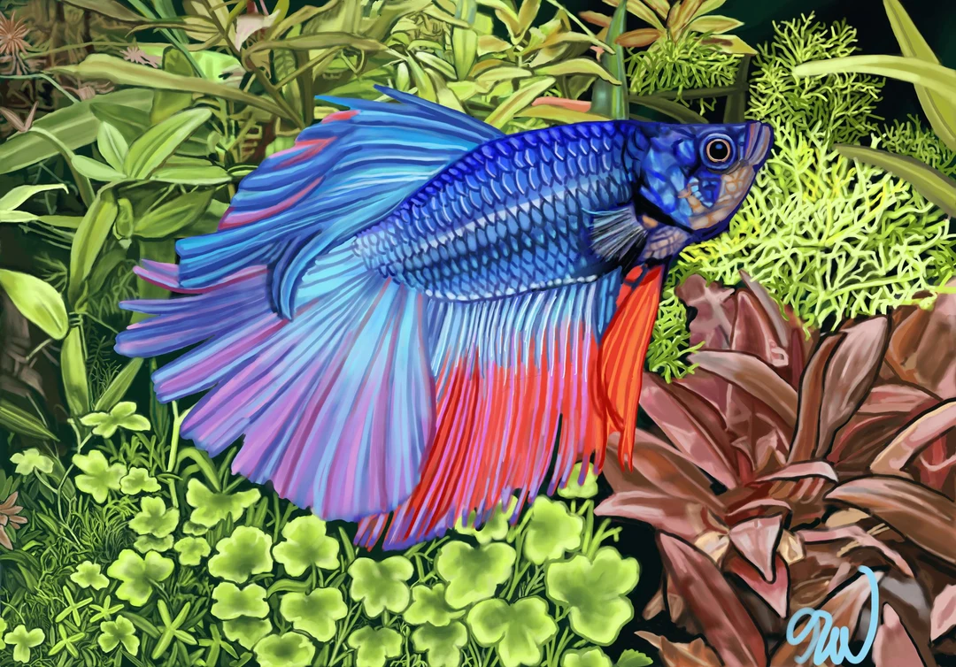 Beta, Me, Procreate, 2022 | Scrolller