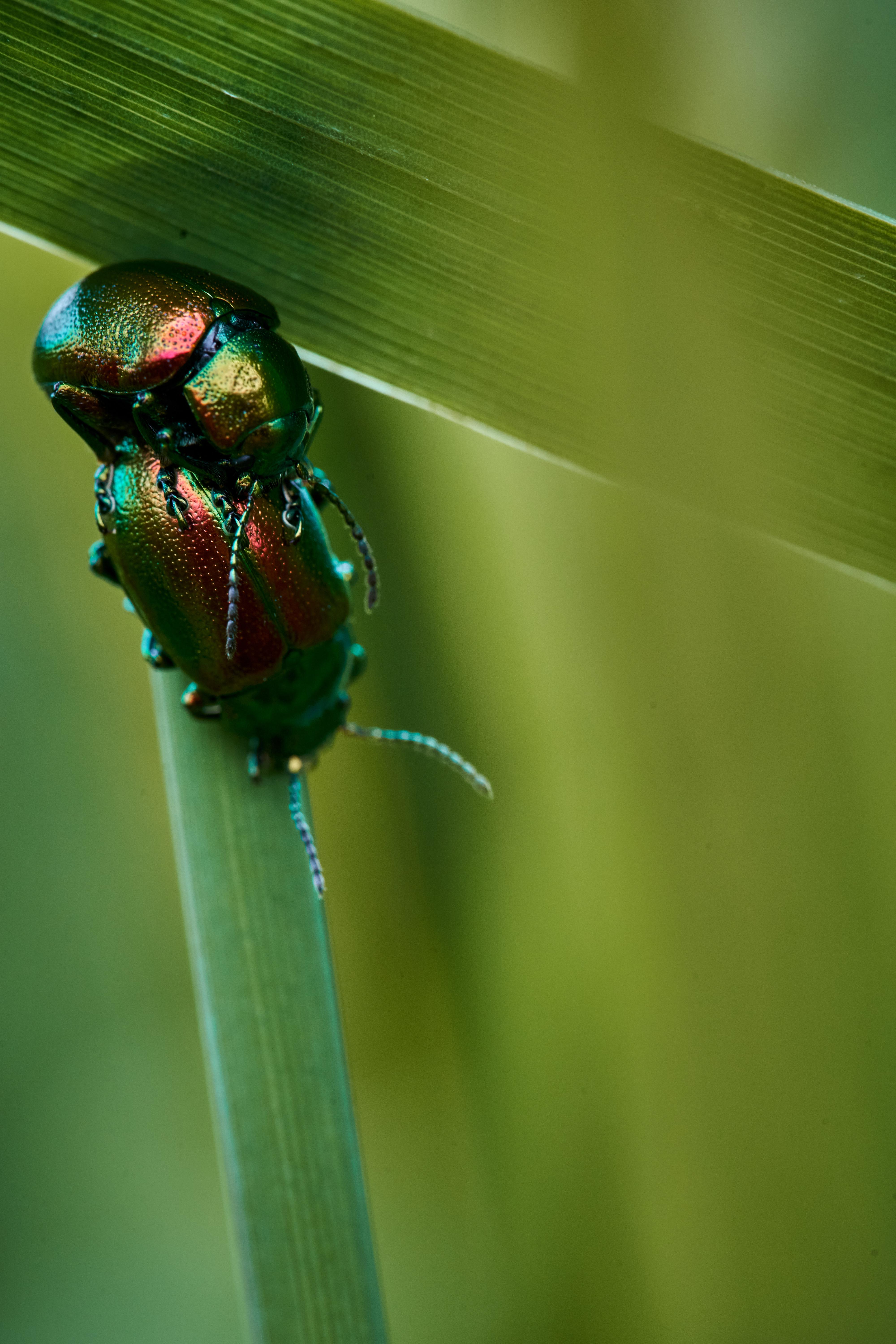 Third date | Scrolller