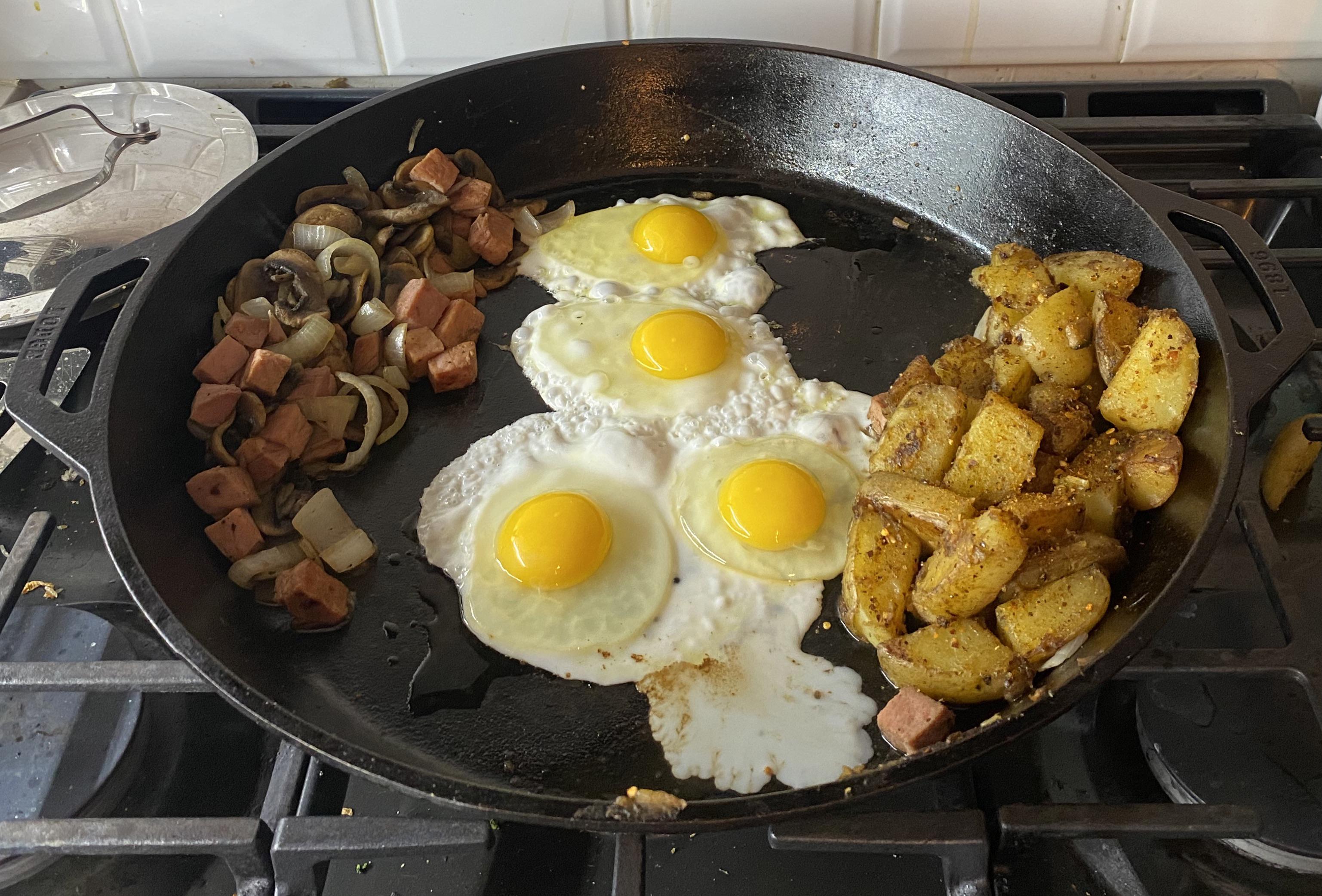 Anyone else love the lodge 17”? | Scrolller