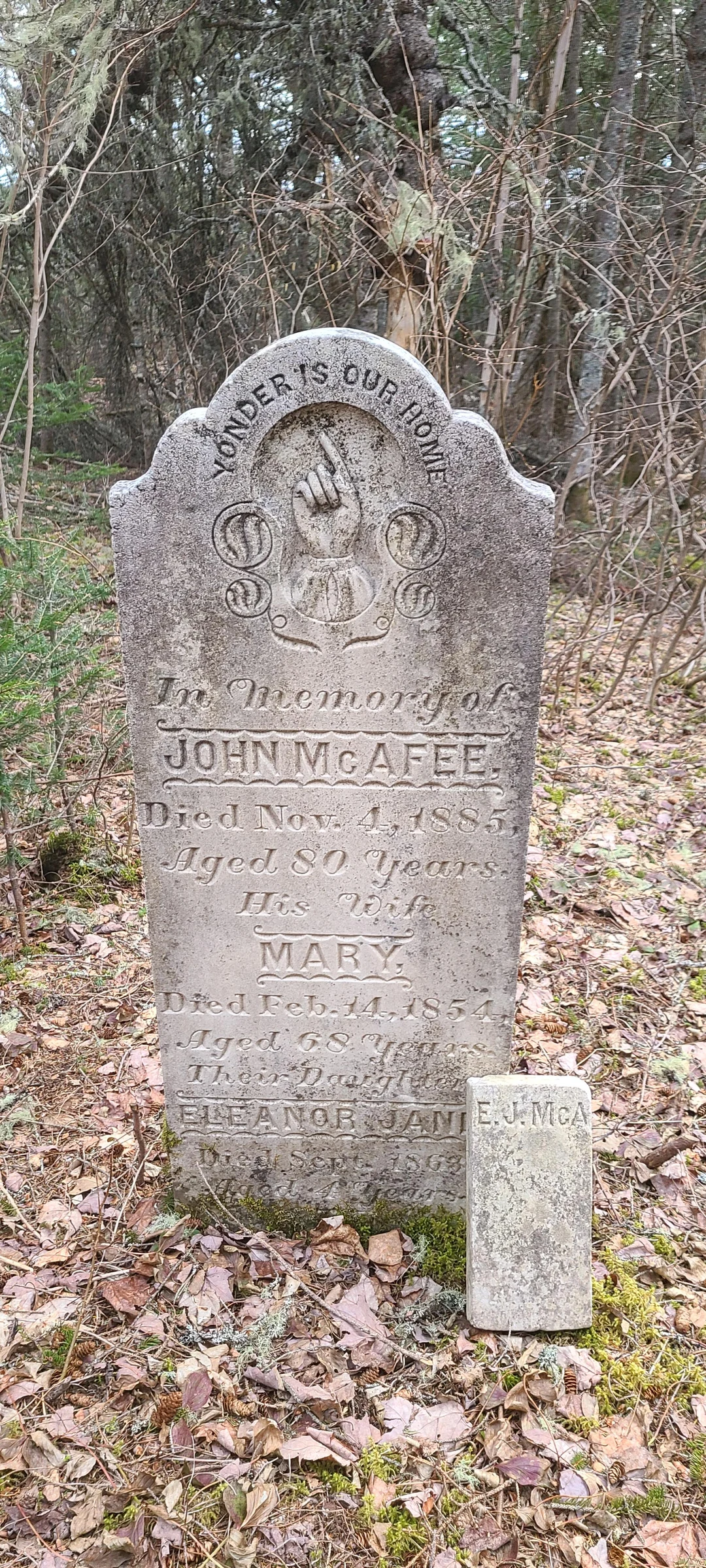 Donegal, New Brunswick | Scrolller