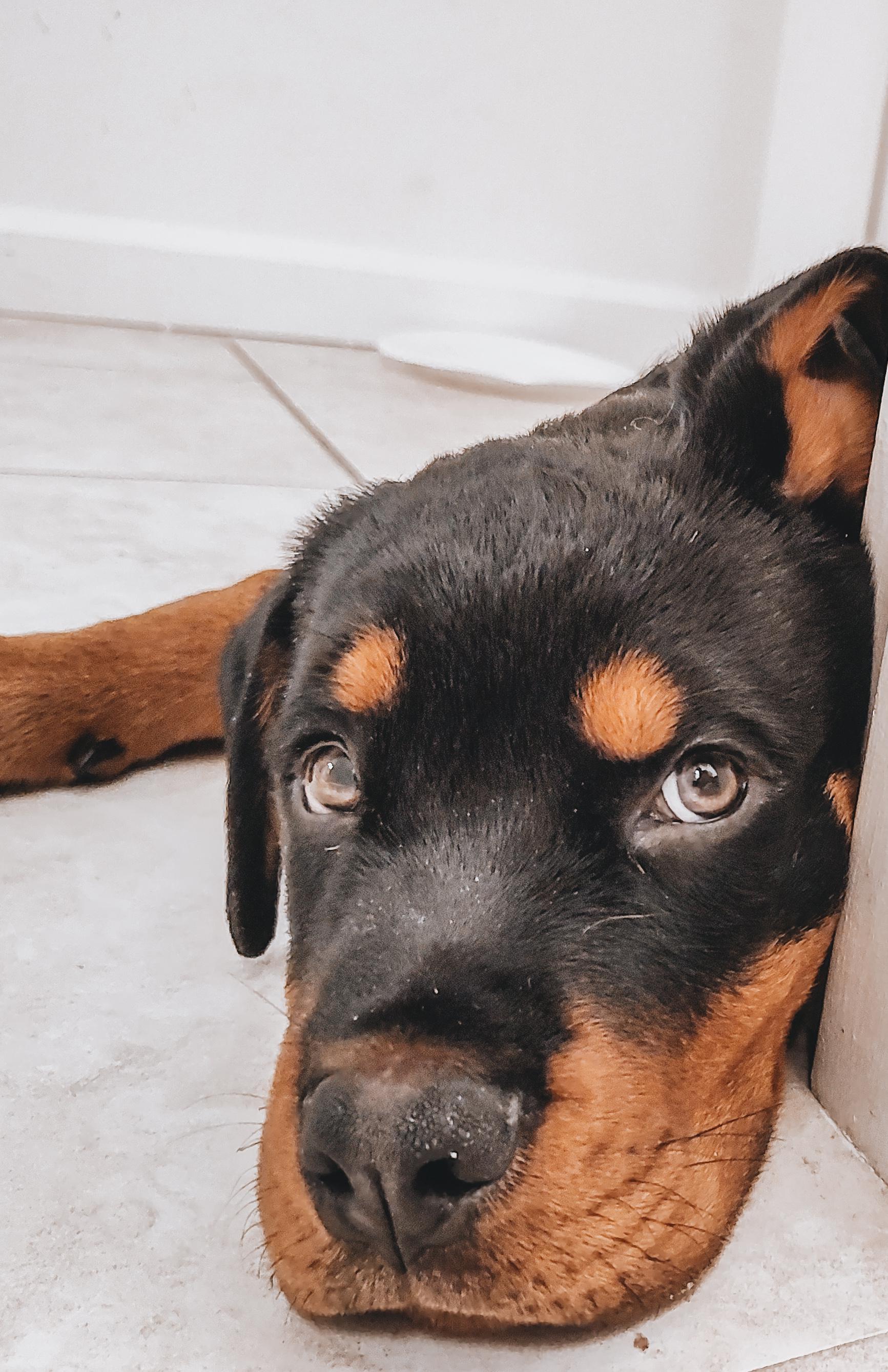 Curious boy | Scrolller