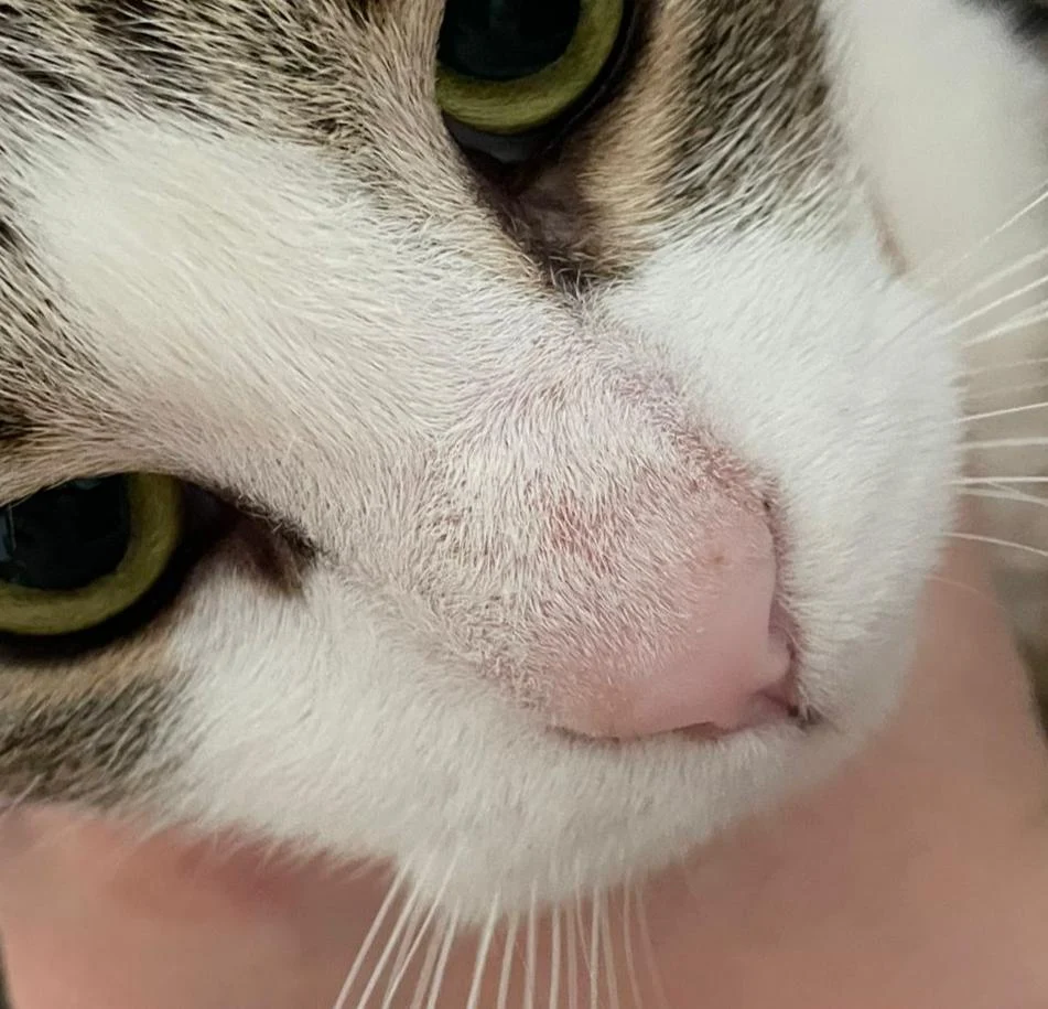 Is this normal? | Scrolller