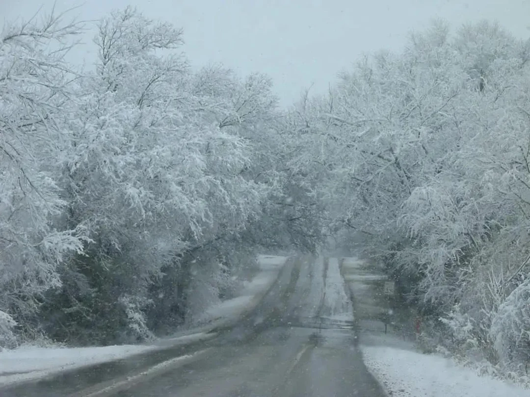 Frosted forest with road | Scrolller