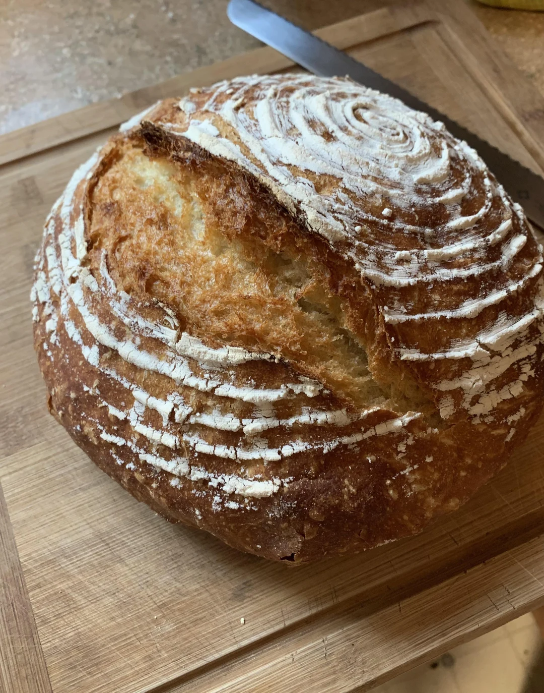 Finally got that ear | Scrolller