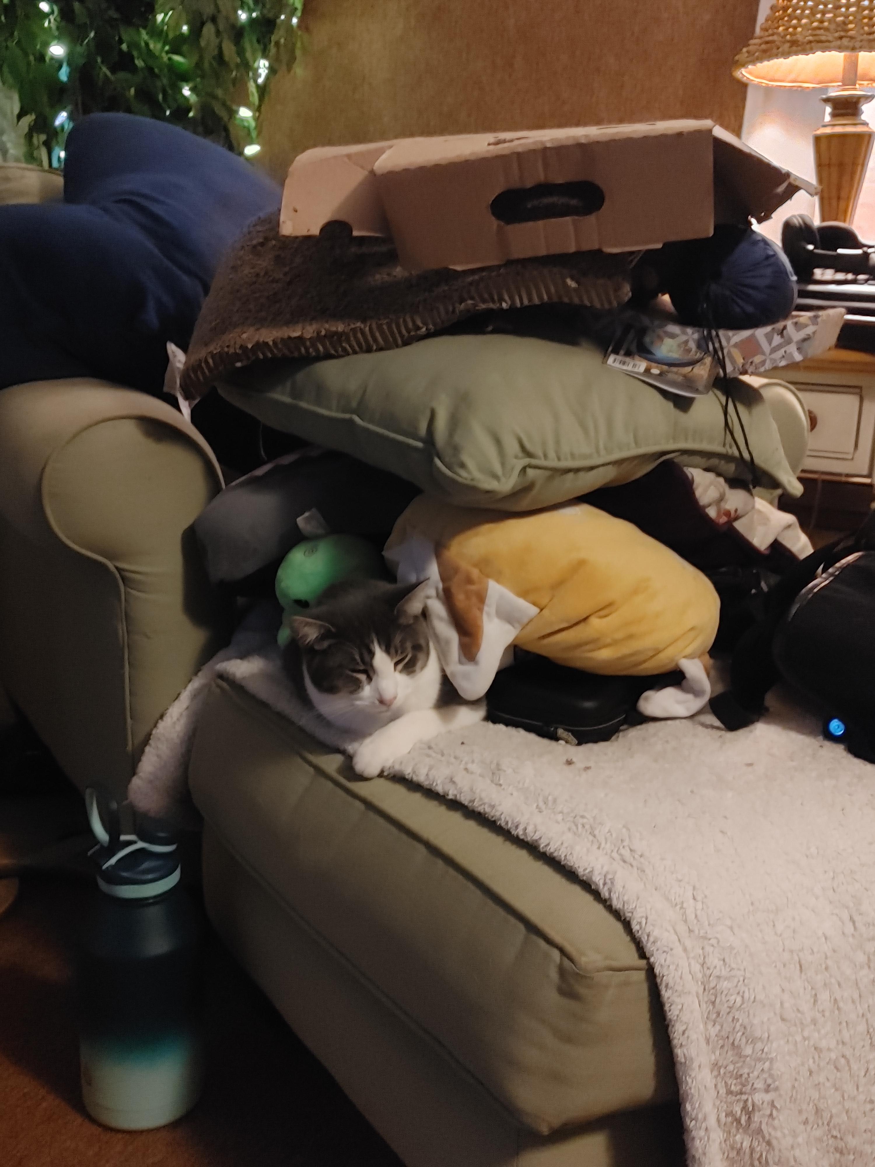 Fort pillow | Scrolller