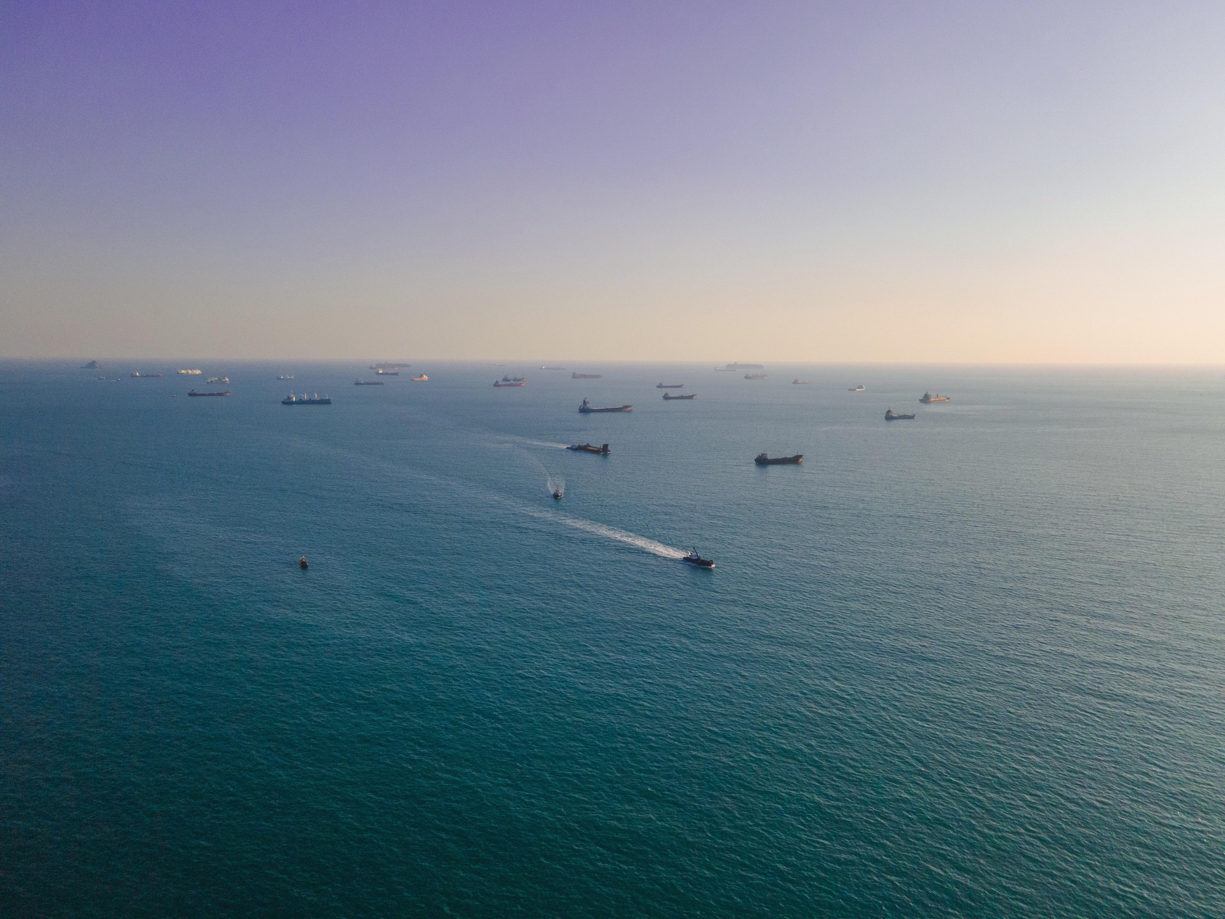 Mystic purple. Busan, Korea. | Scrolller