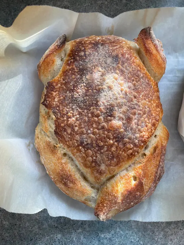 Sourdough turkey! | Scrolller