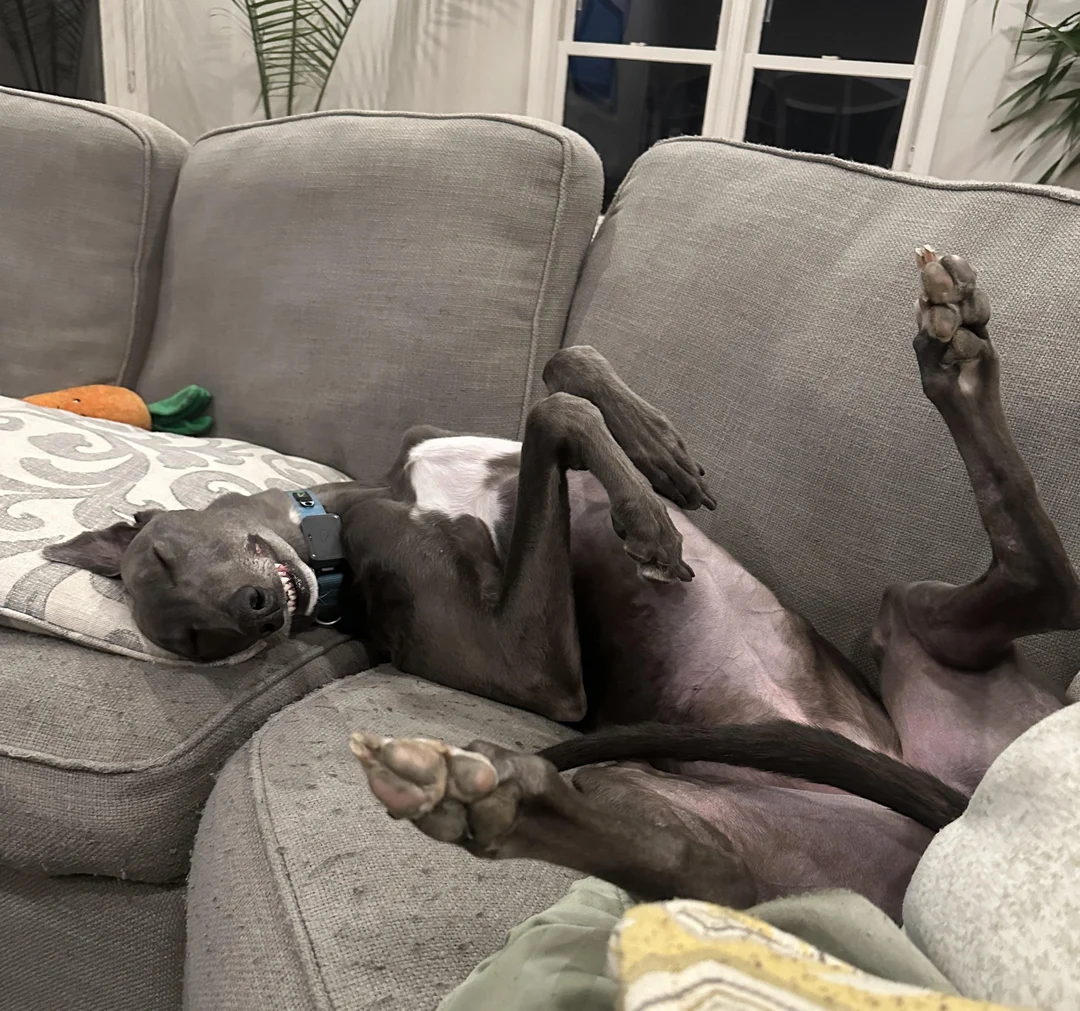 Pure Relaxation | Scrolller