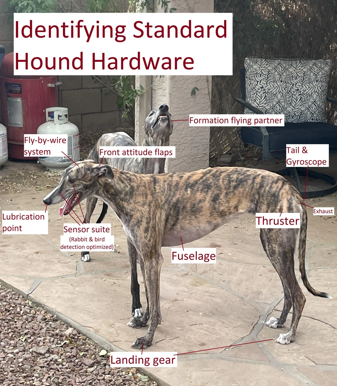Reference: Technical Hound Component Diagram | Scrolller