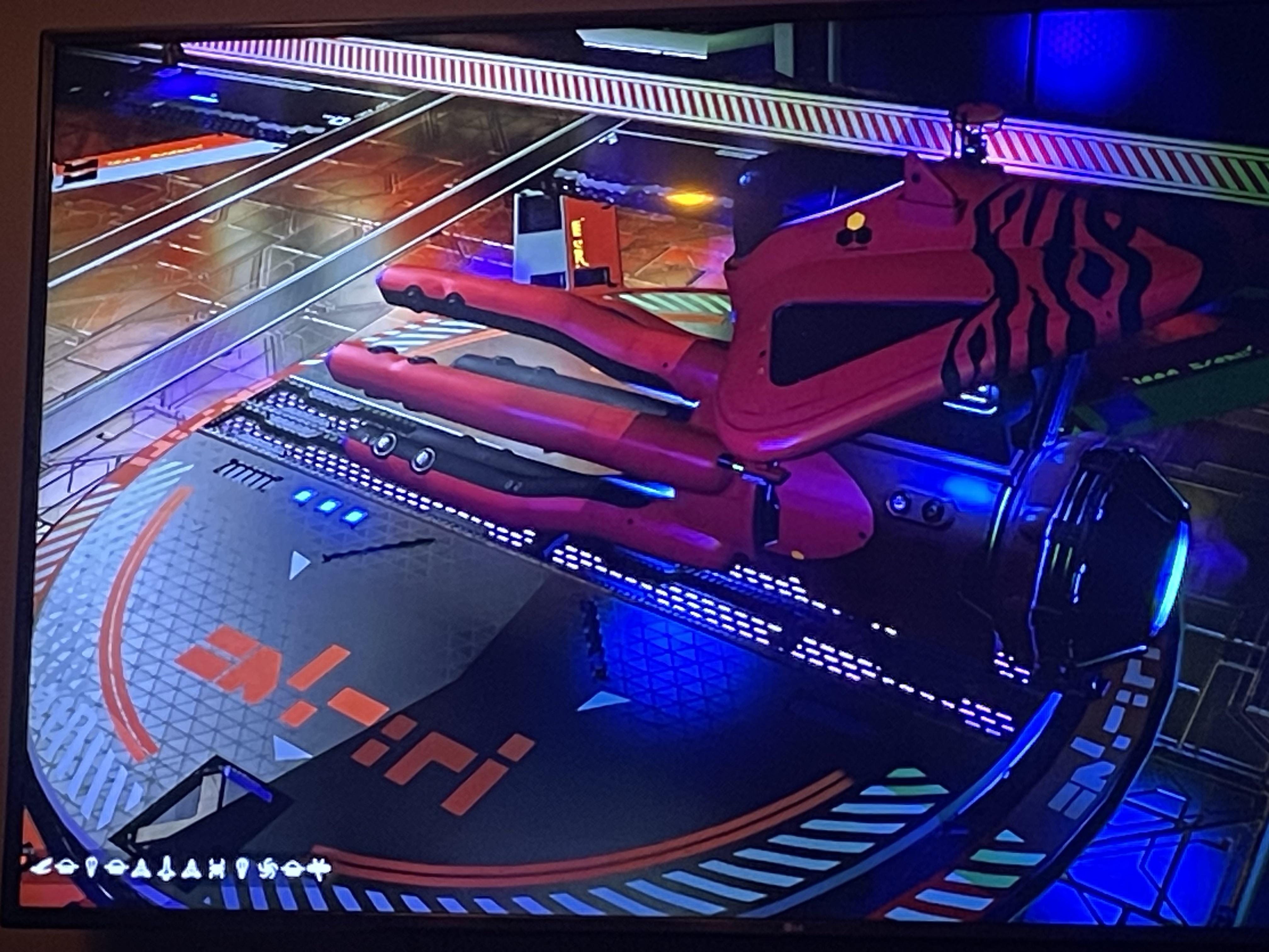 Wild Squid! | Scrolller