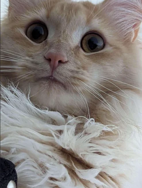 The tiniest bubble | Scrolller