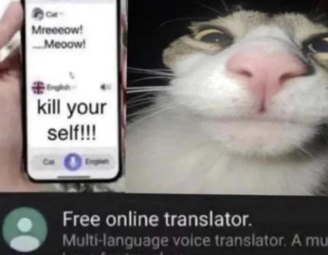 Translator | Scrolller