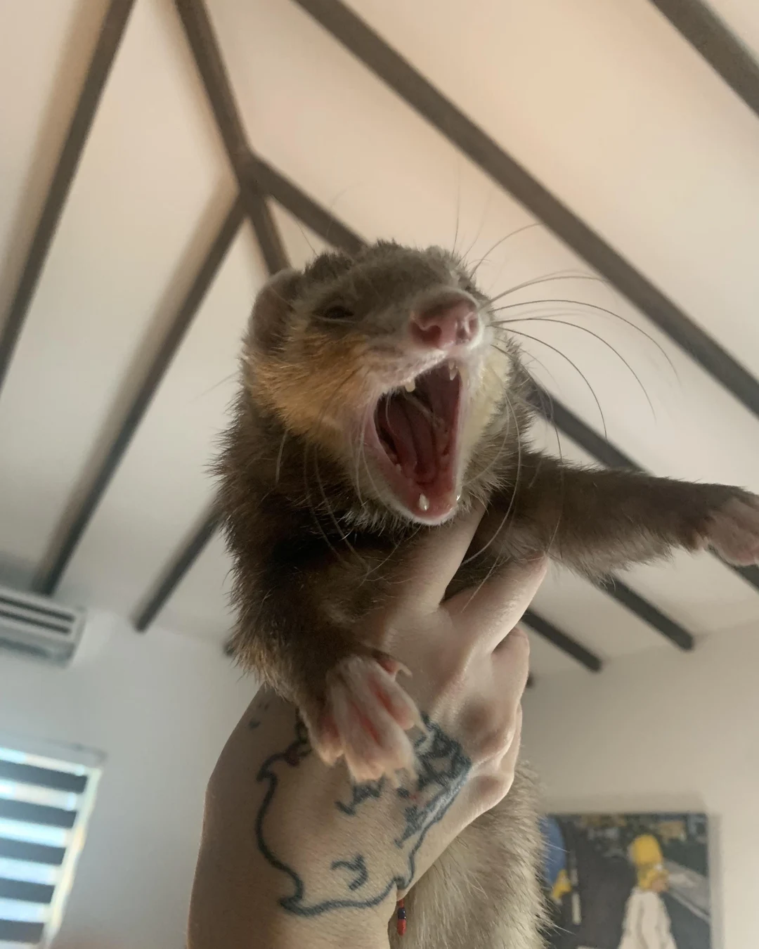 mondays amirite | Scrolller