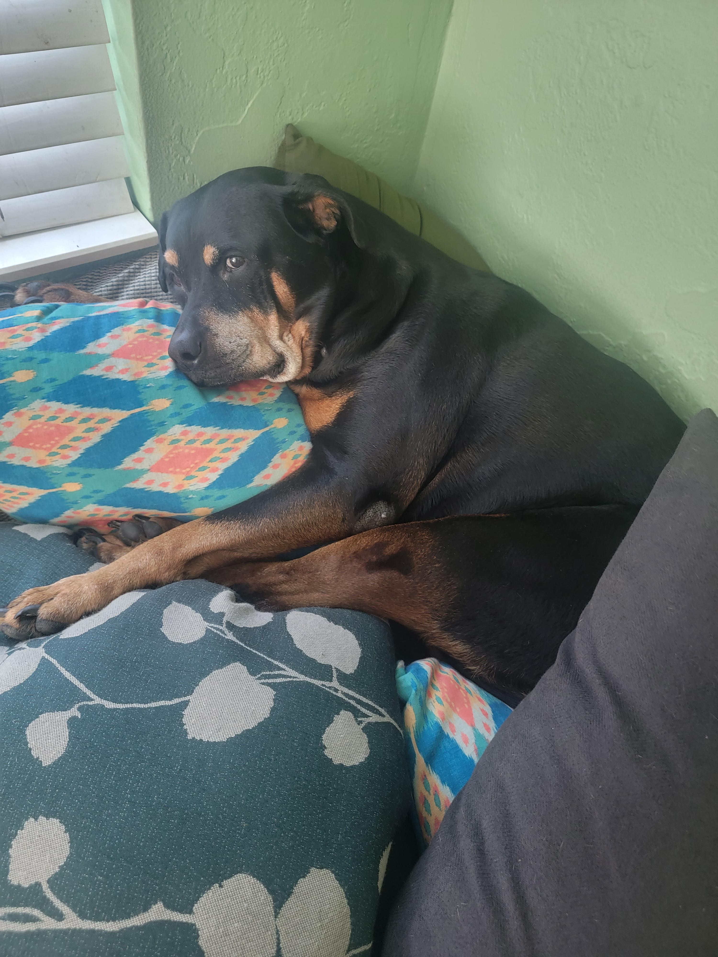 Bella🥰 Scrolller