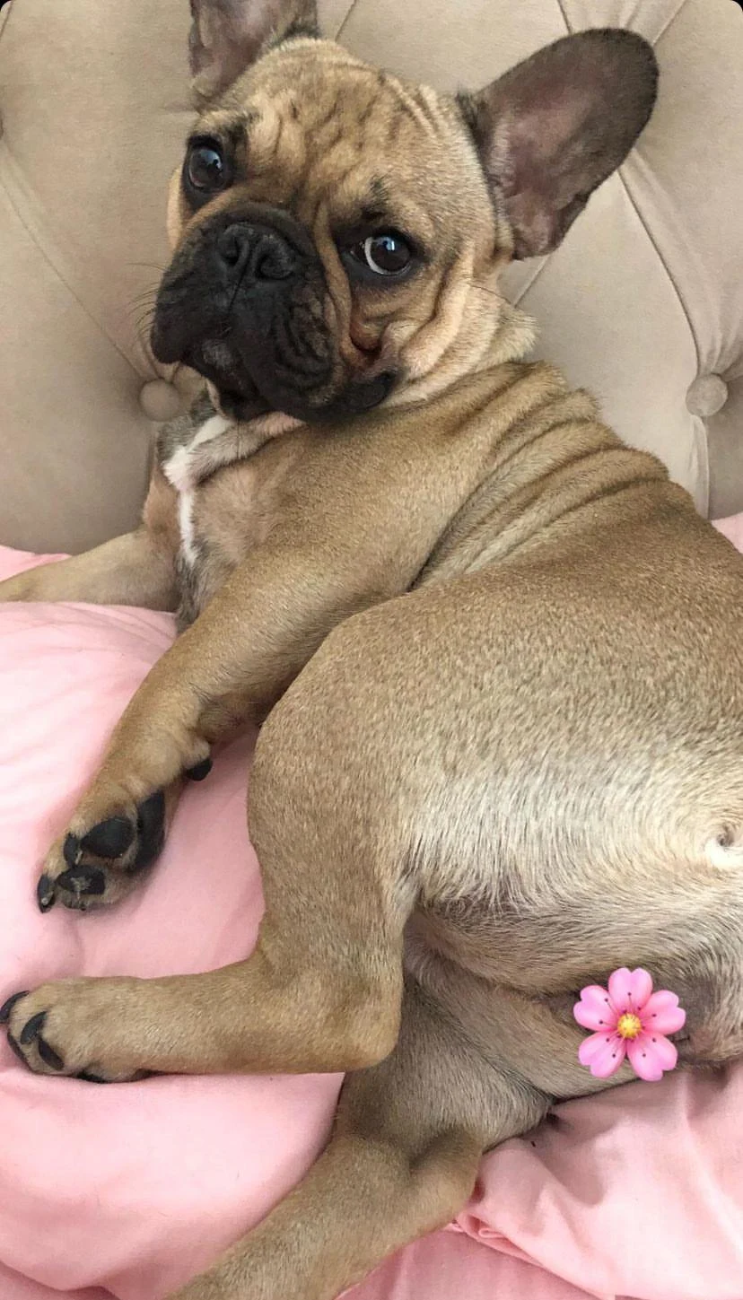 he likes to pose for the cameras | Scrolller