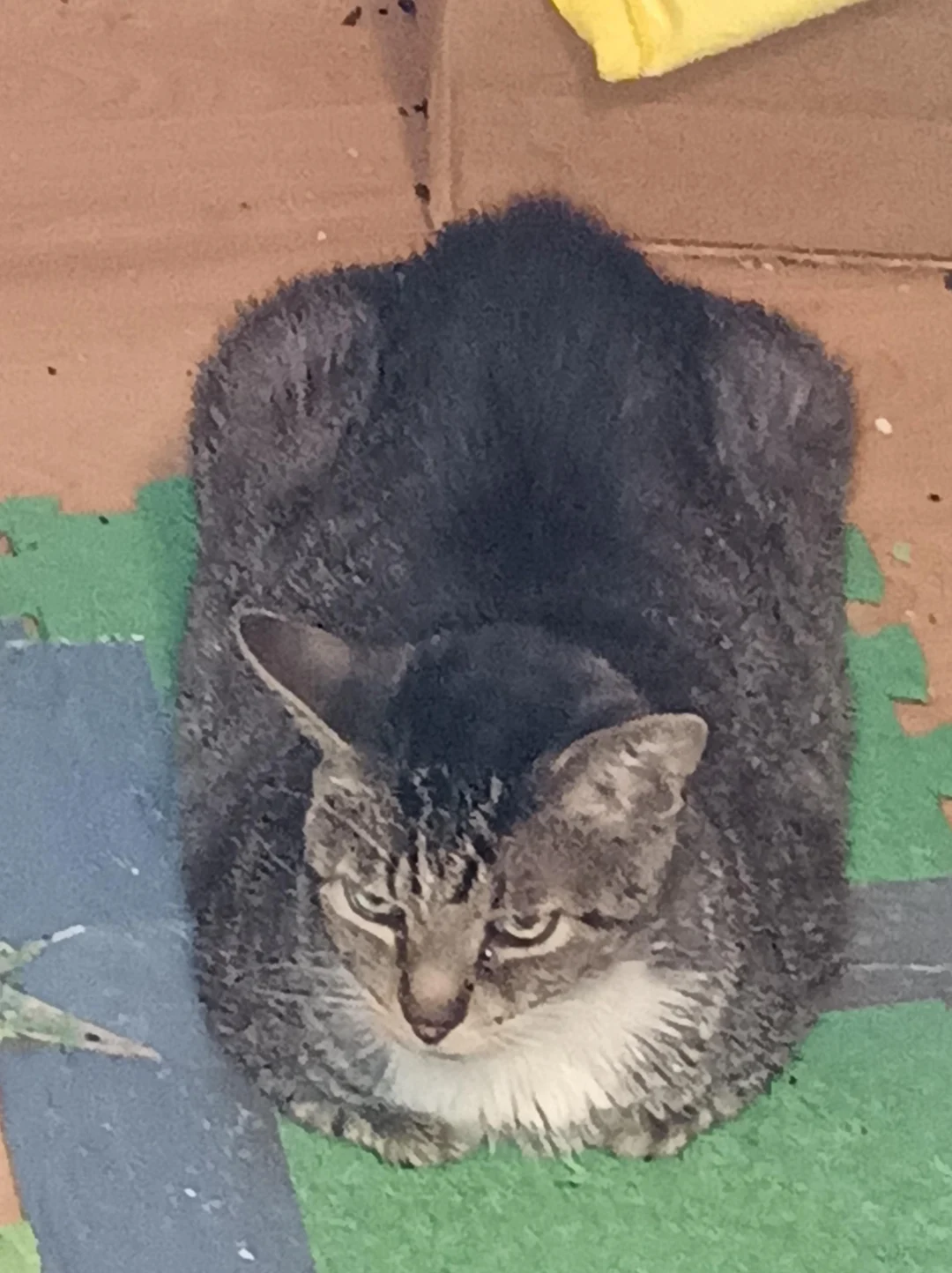 Marble loaf Coltrane | Scrolller