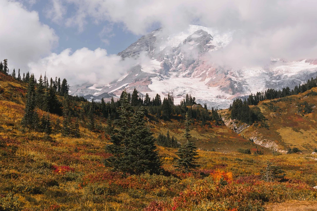 Fall colors with Mount Rainier peaking out from behind the clouds [OC] [5322 × 3548] @itk.jpeg ...