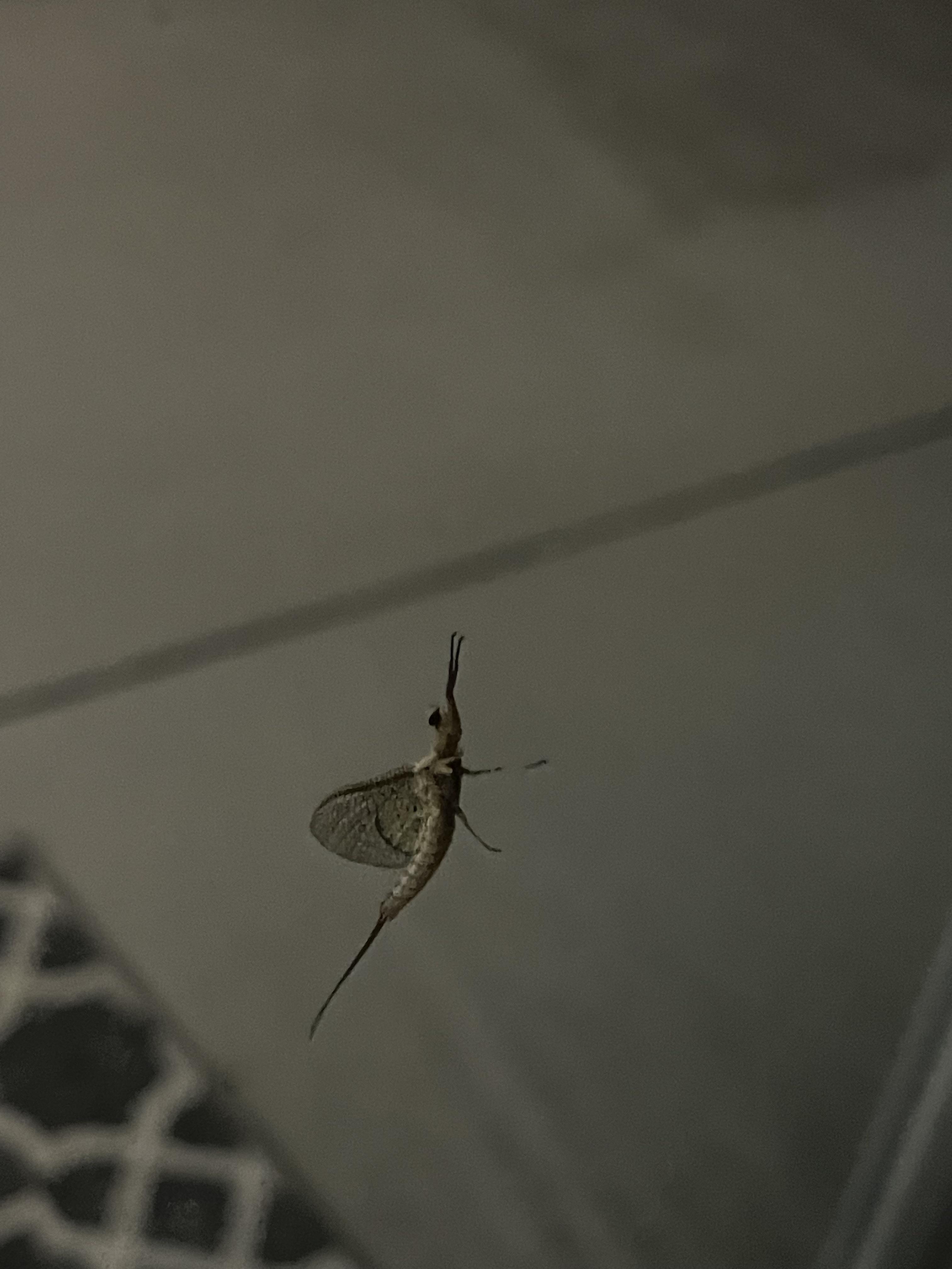 Who is this goofy guy? | Scrolller