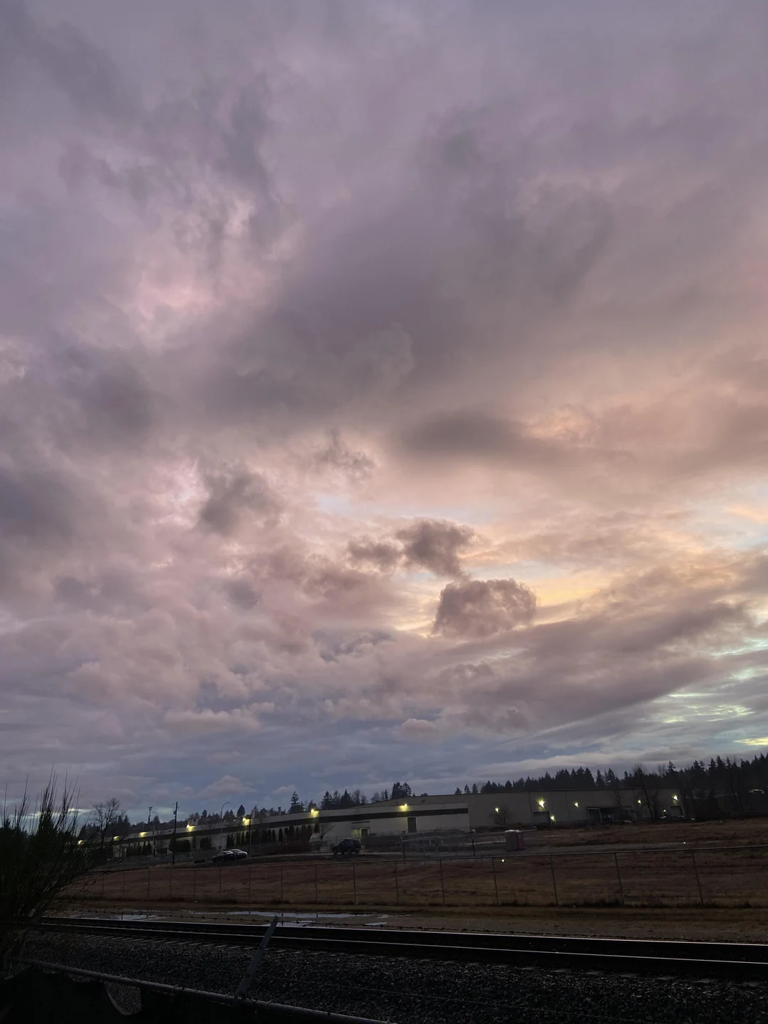 Tacoma, WA | Scrolller