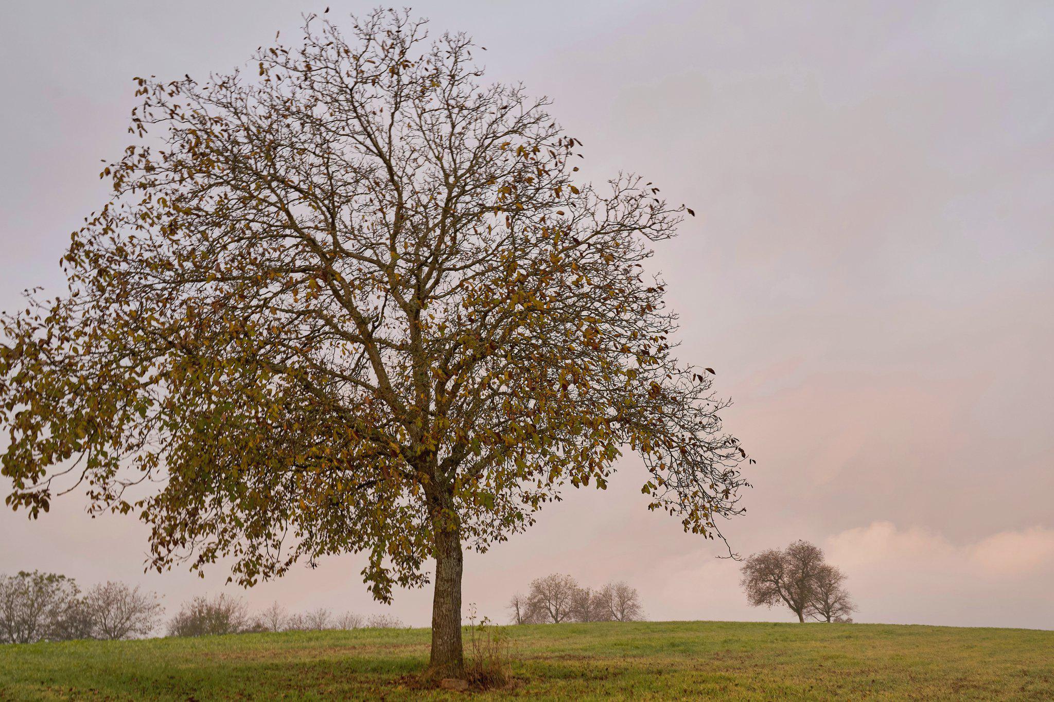 •France• | Scrolller