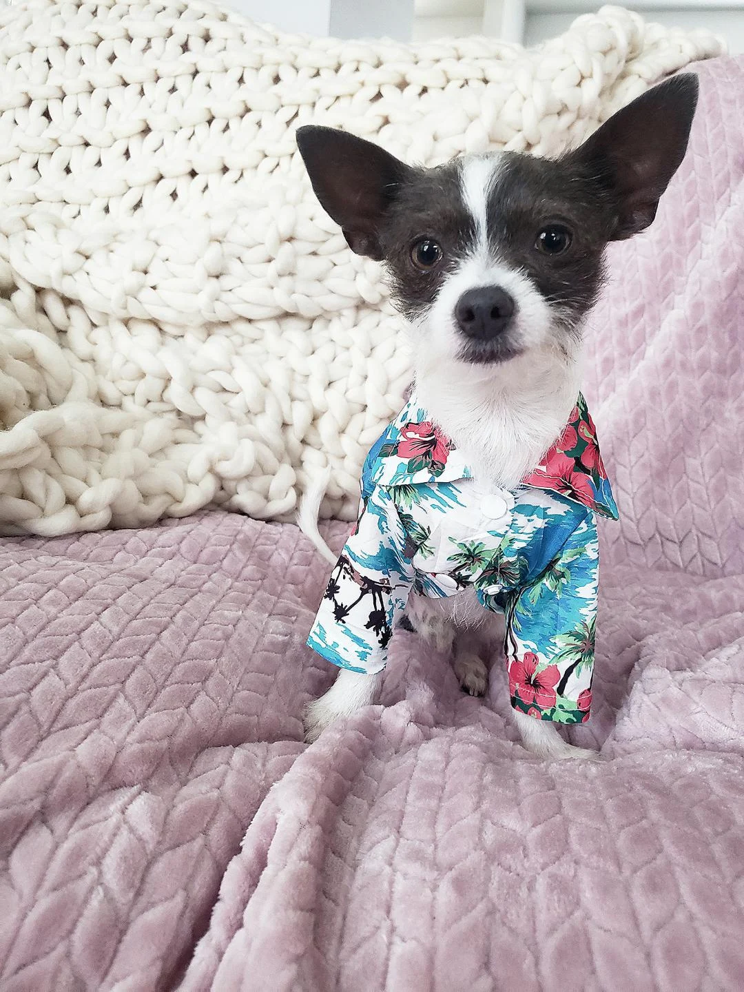 1 month with Mort!! Cheers to every second. | Scrolller