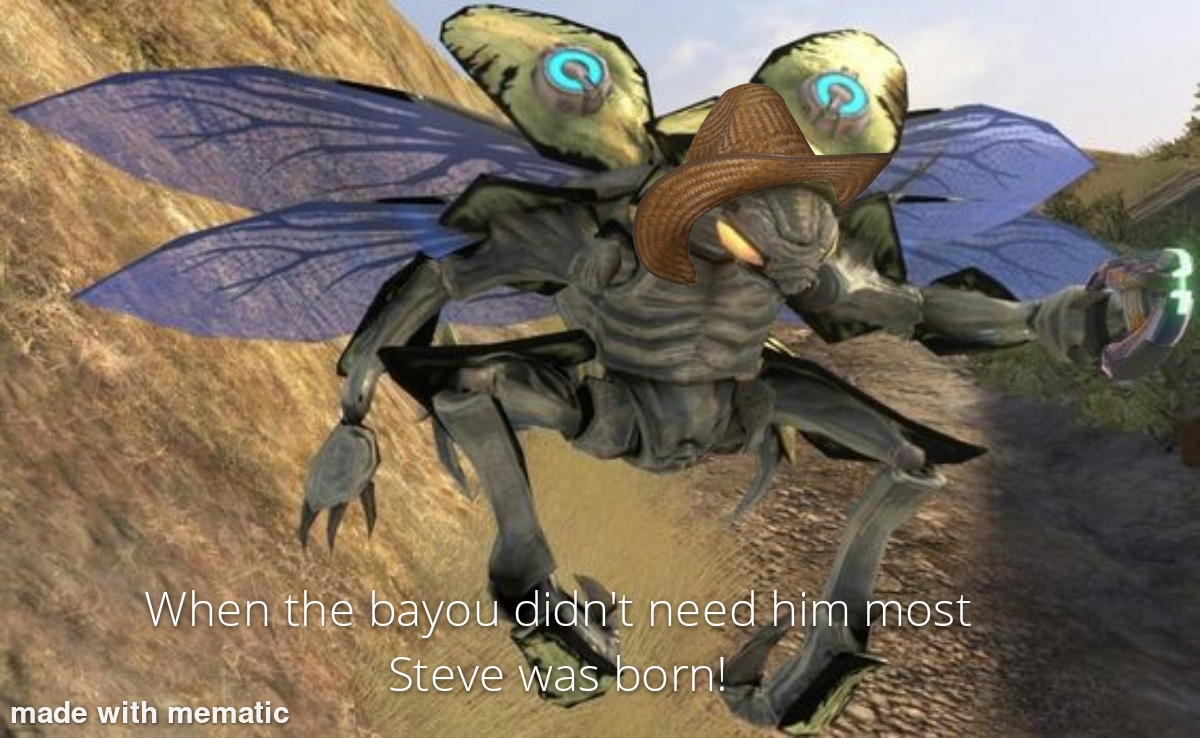 Some humor about the Beetle | Scrolller