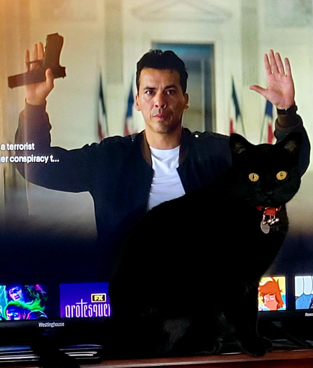 Surrender to the Void!!! | Scrolller