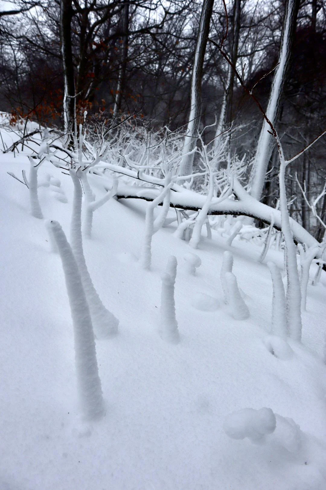 Powder Coating | Scrolller