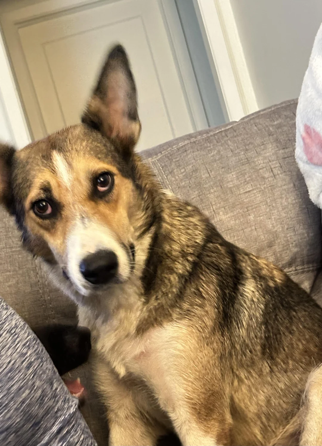 Randomly showed up | Scrolller