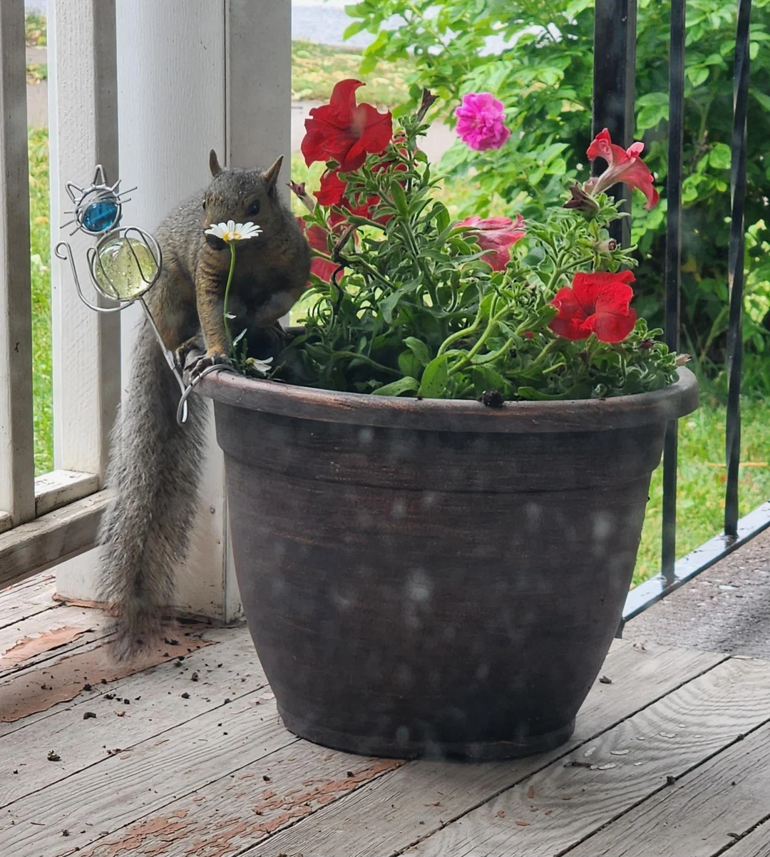 Take time to stop and smell the flowers | Scrolller