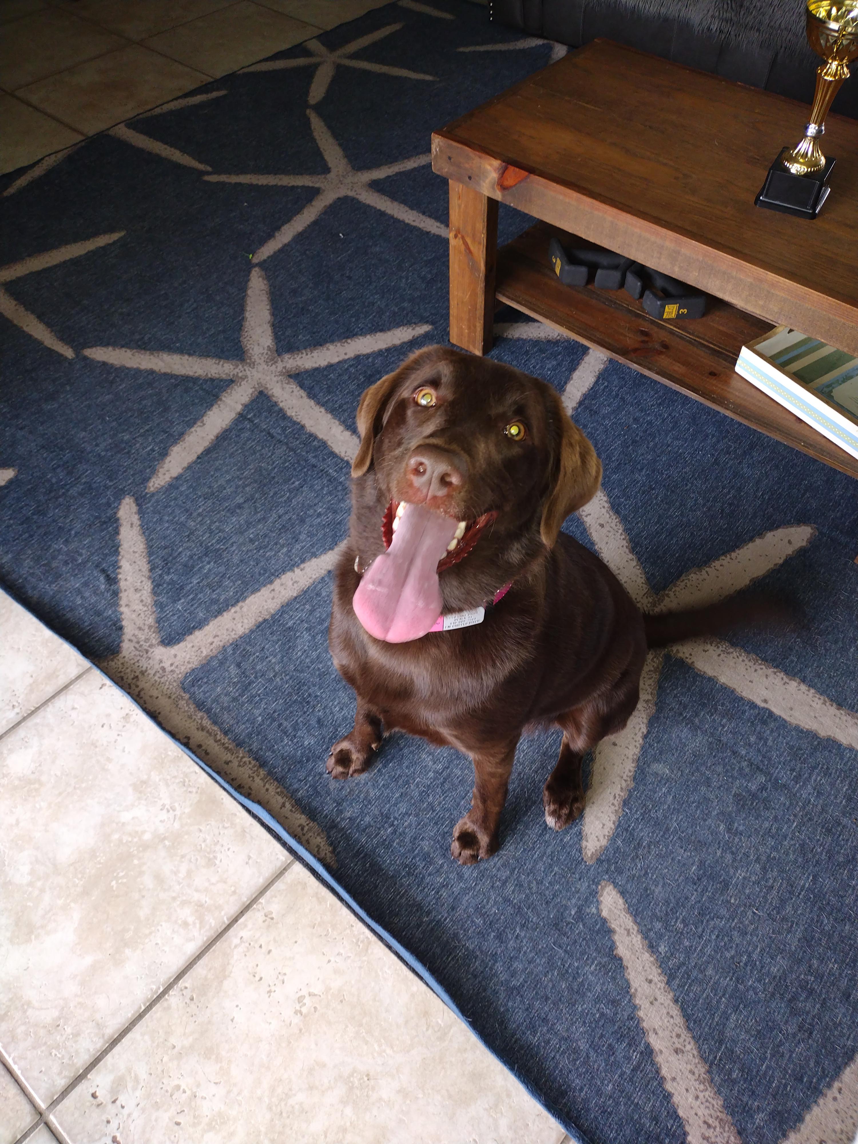 Happy happy walking pal! | Scrolller