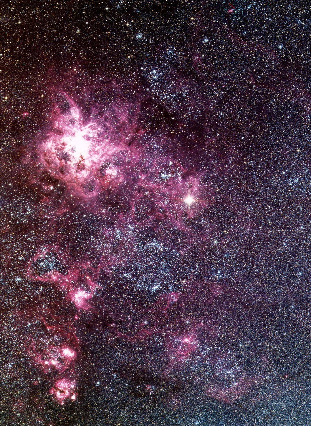 Image obtained with the ESO Schmidt Telescope of the Tarantula Nebula ...