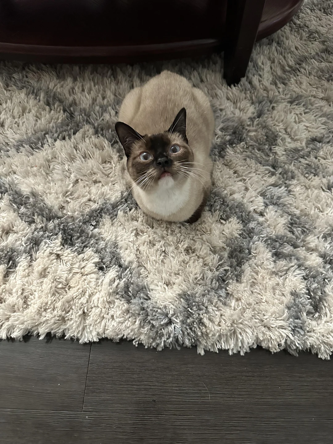 A very curious loaf! | Scrolller