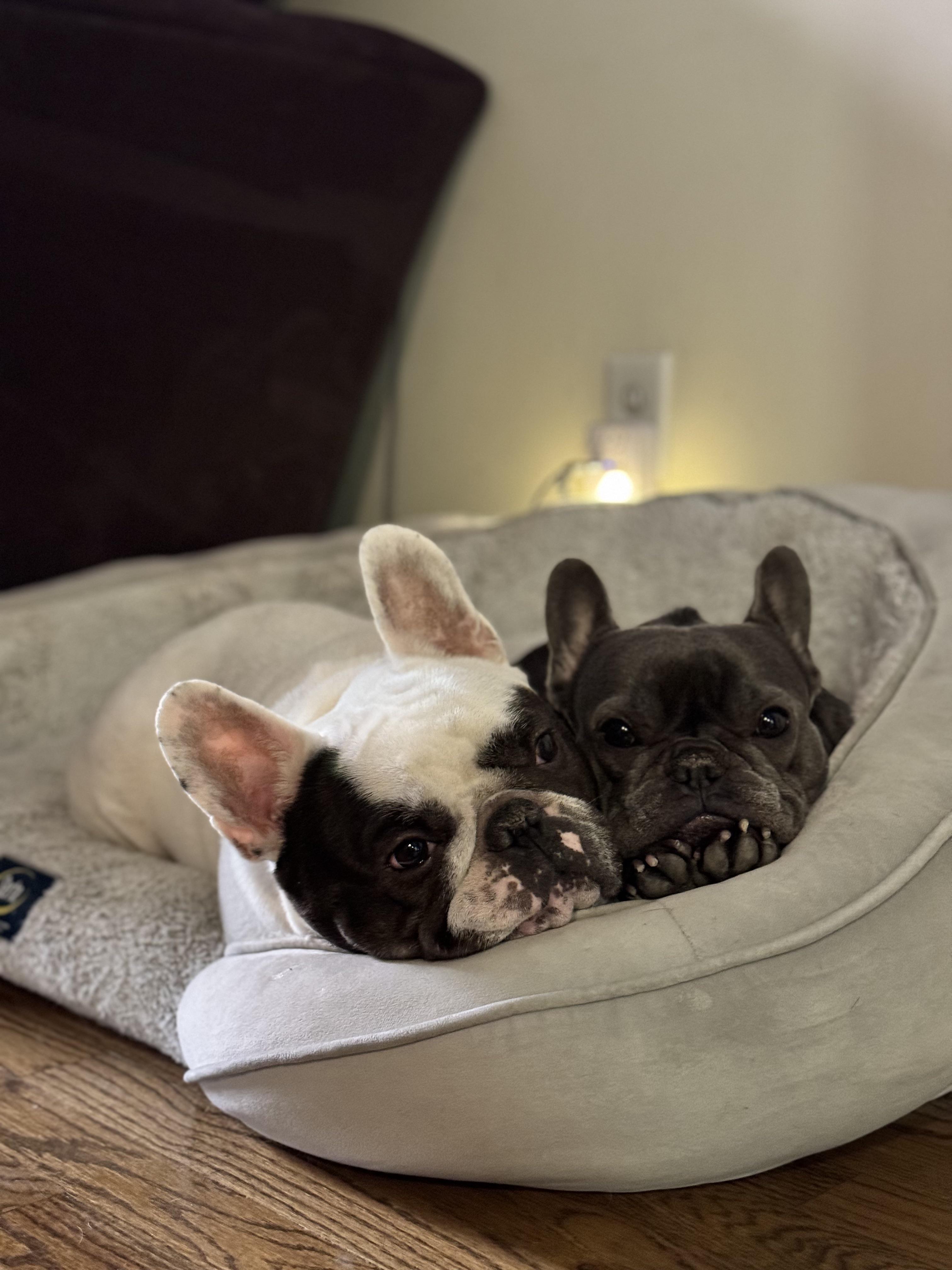 Probiotic/Prebiotic Recs | Scrolller