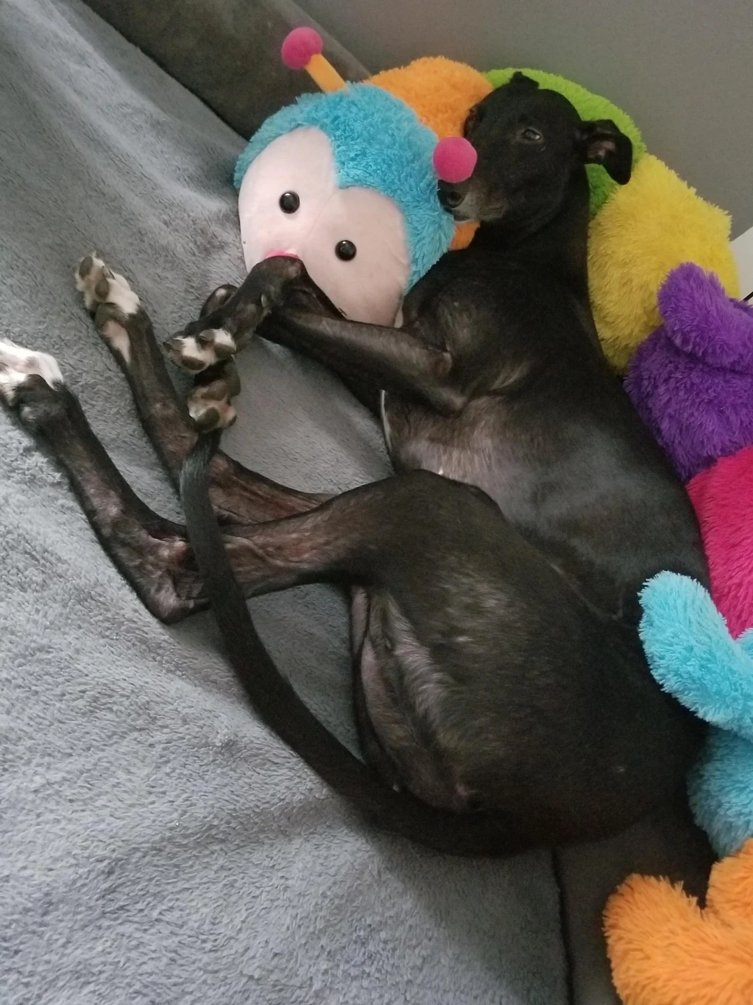 I took a job as a clown after my retirement, it's fun! | Scrolller