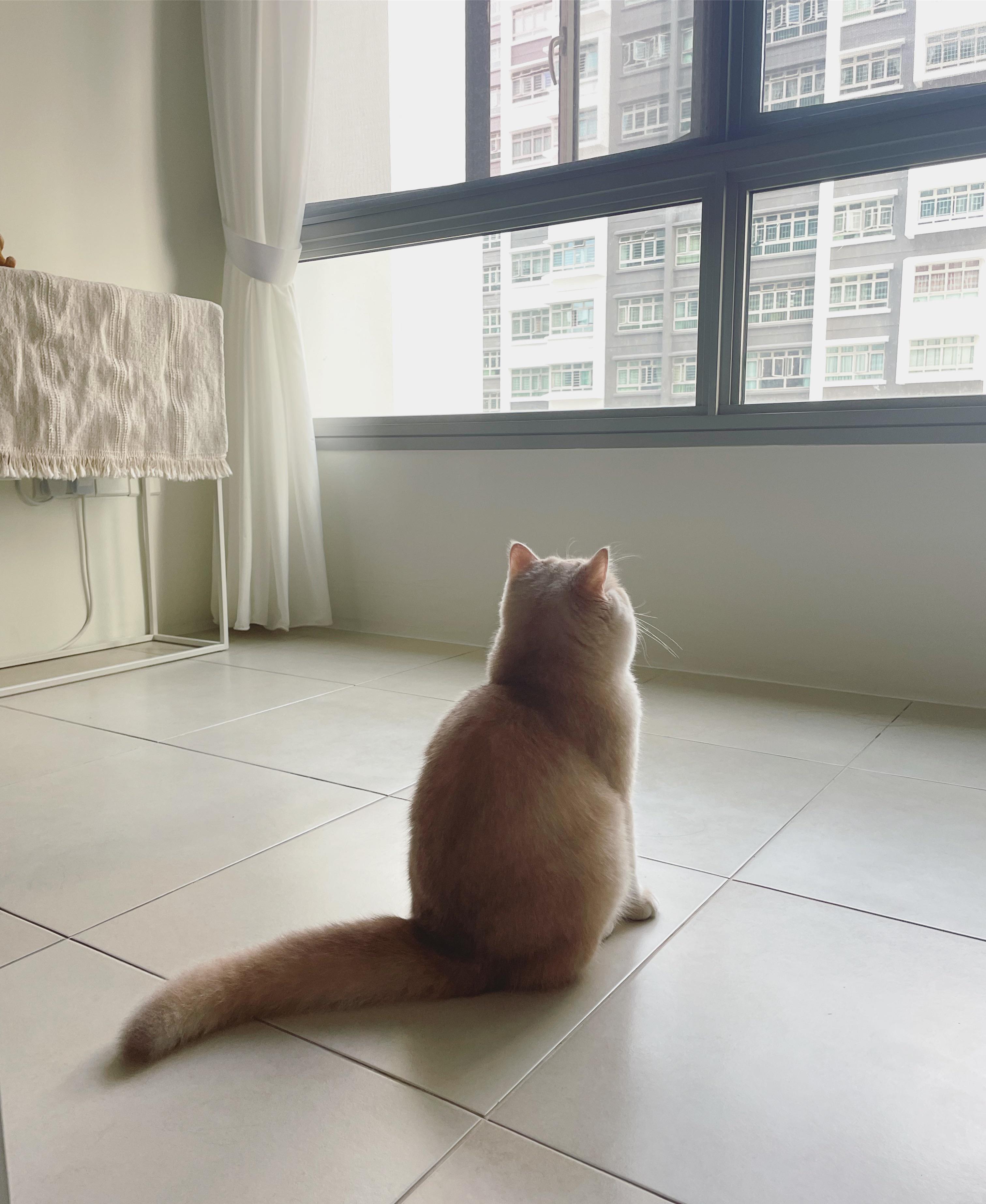 Look for the silver lining behind every dark cloud 🧐 | Scrolller