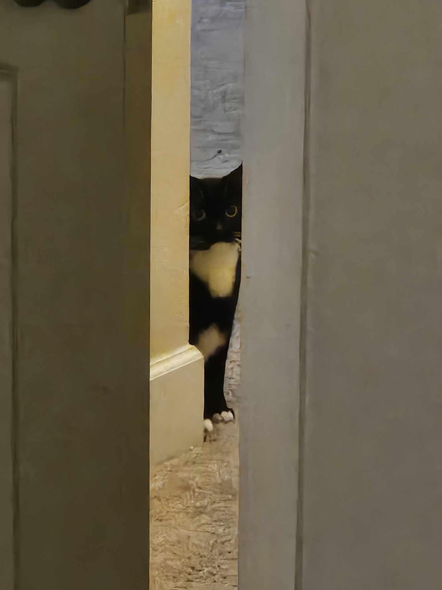 I'm always watching you Wazowski! Always watching! | Scrolller