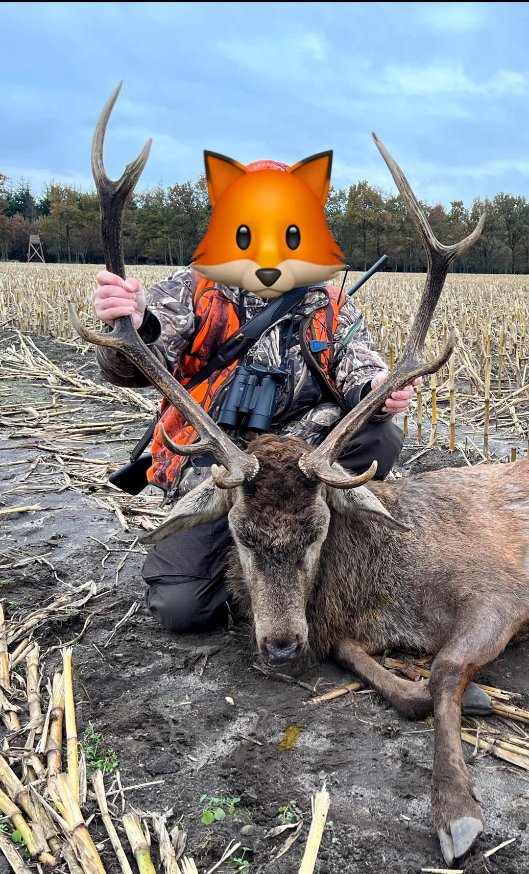 No Whitetail | Scrolller