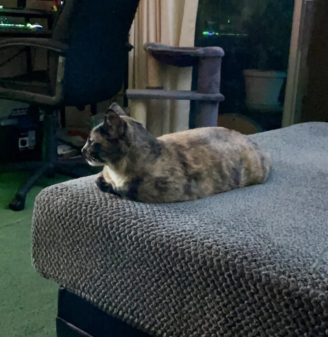 Marble loaf | Scrolller