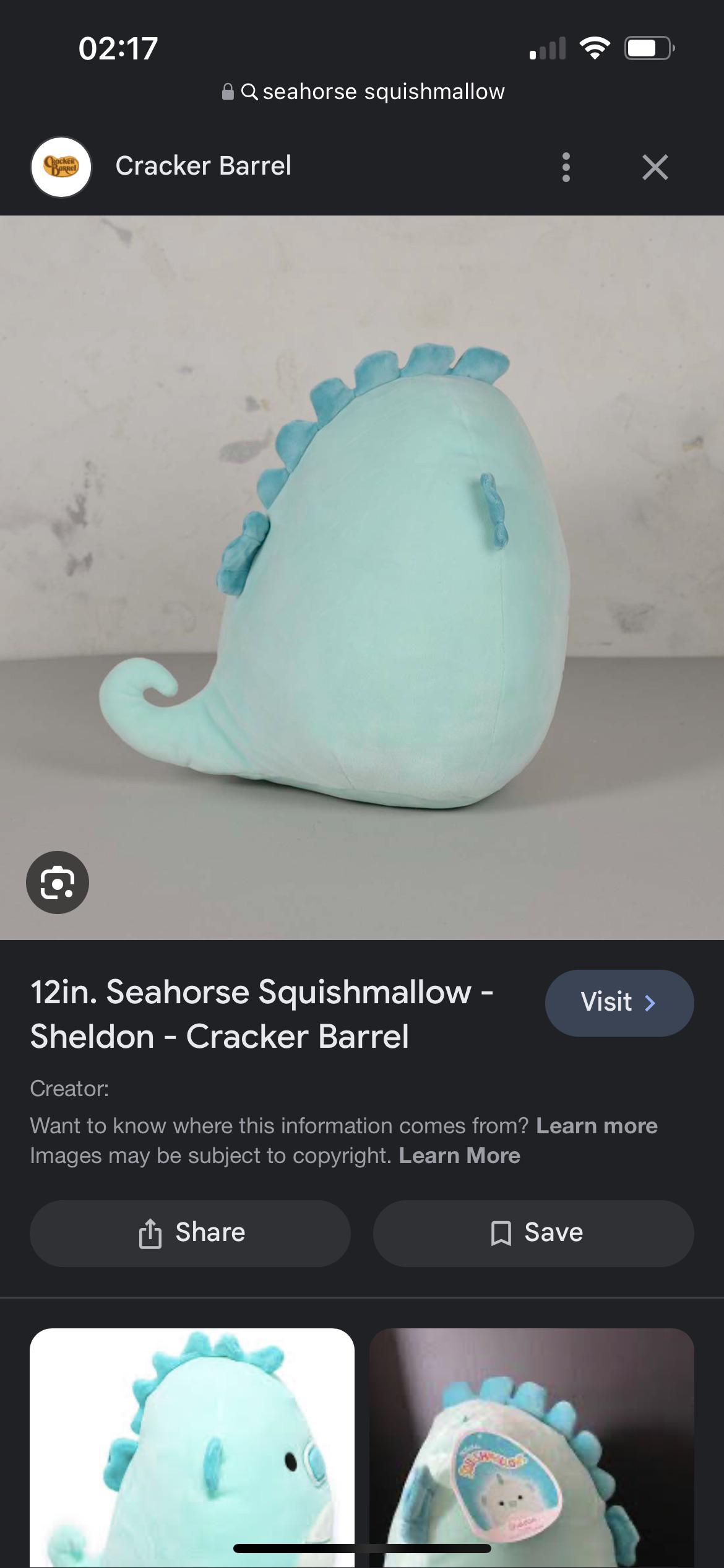 Seahorse rant | Scrolller