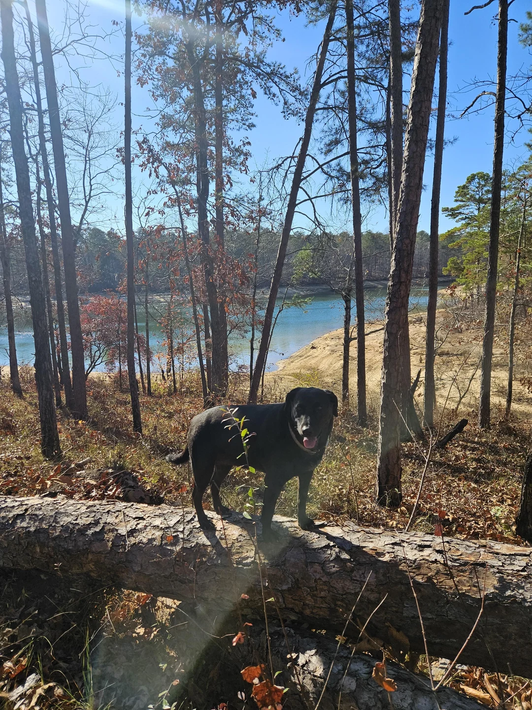 Outdoor Alabama | Scrolller