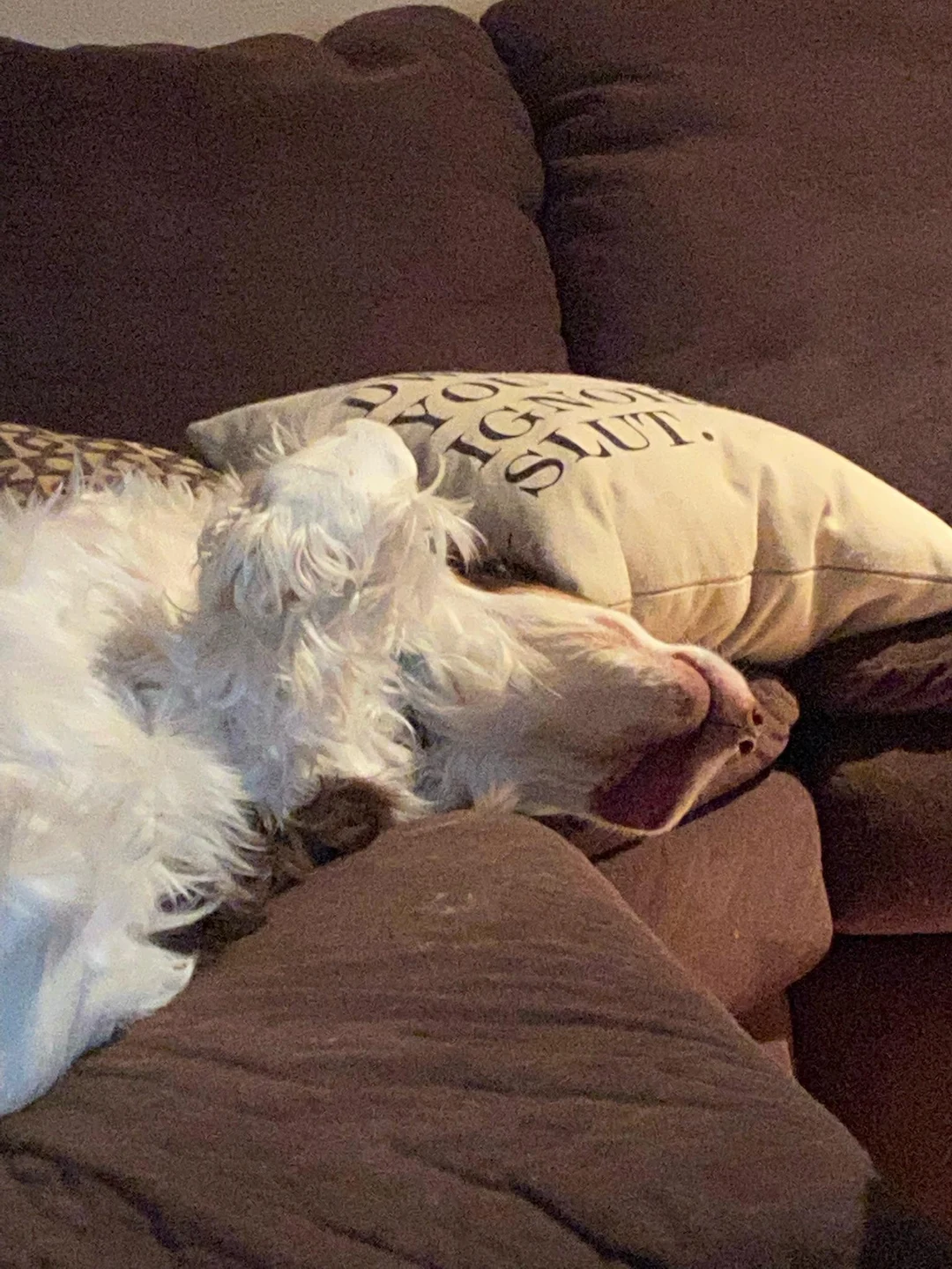 Fat floppy lip | Scrolller