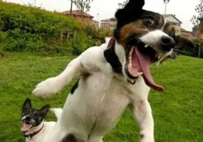 Give me my pp | Scrolller