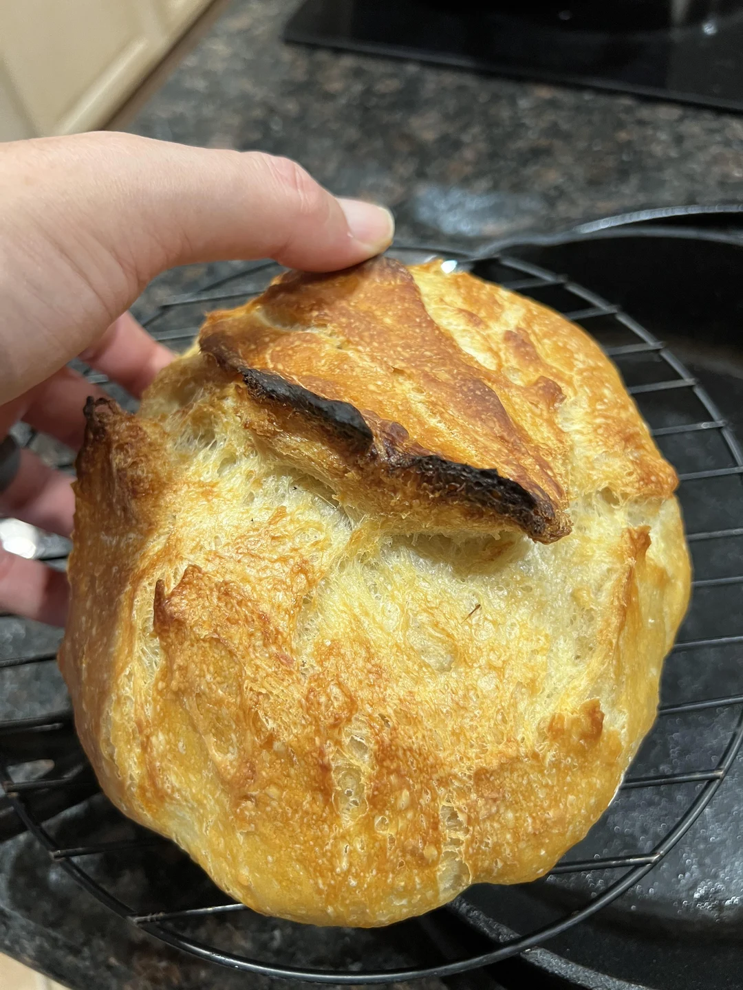 Nothing fancy - Just always good and satisfying. No knead. Amen. | Scrolller