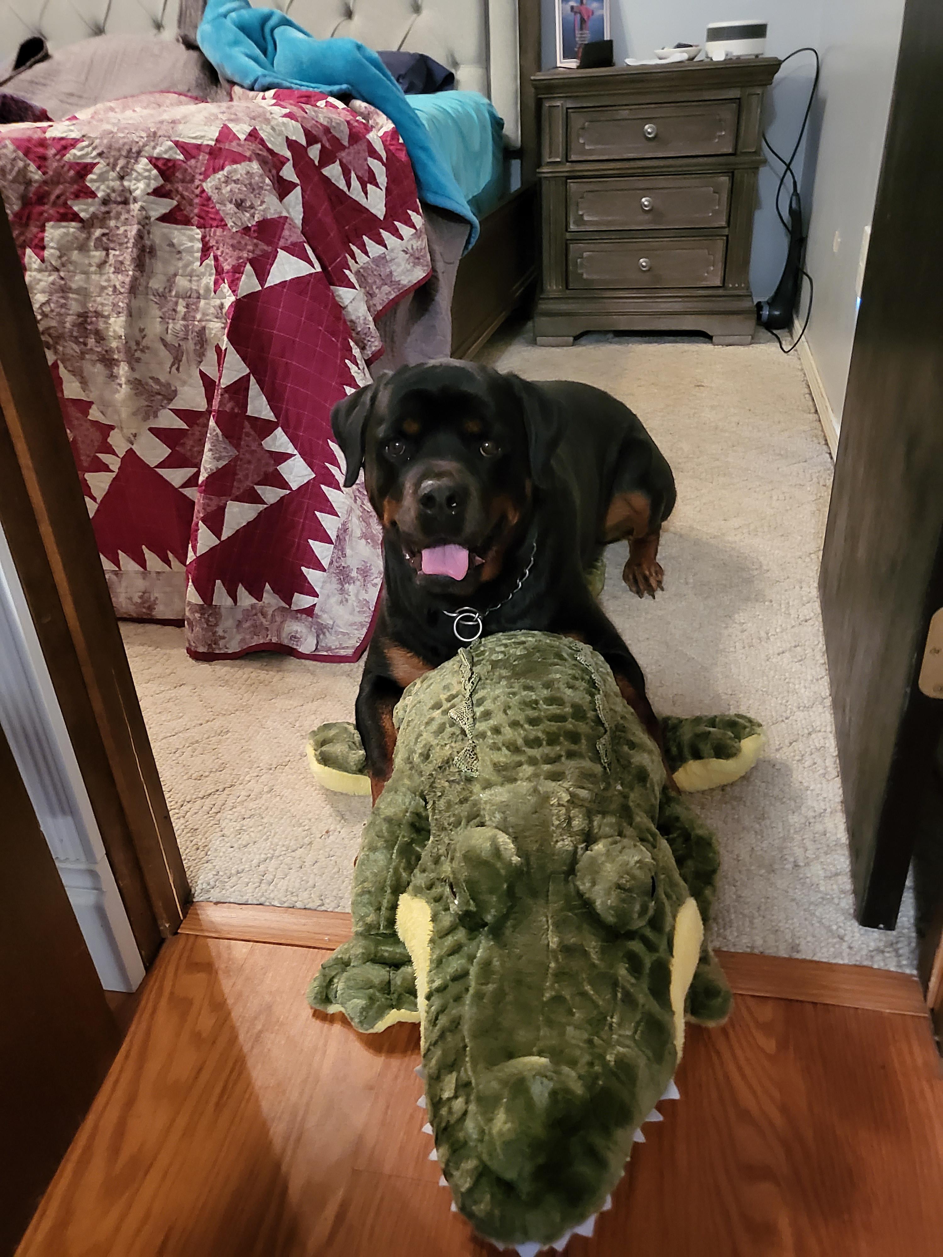 Benjamin never knew toys got this big | Scrolller