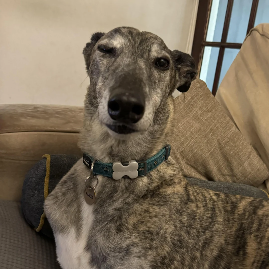 Mack wants to know “how you doin’?” | Scrolller