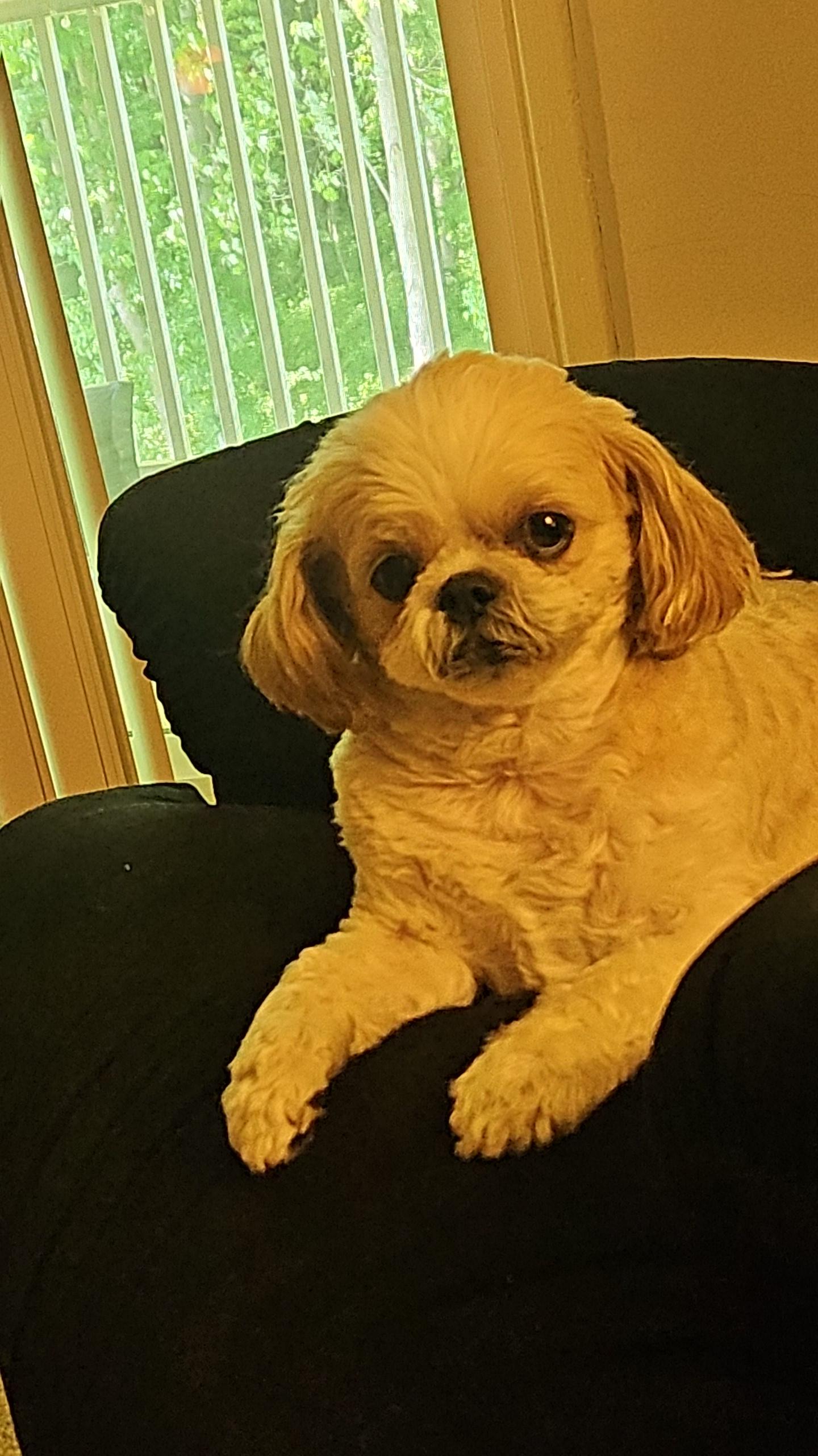 Queen behavior | Scrolller