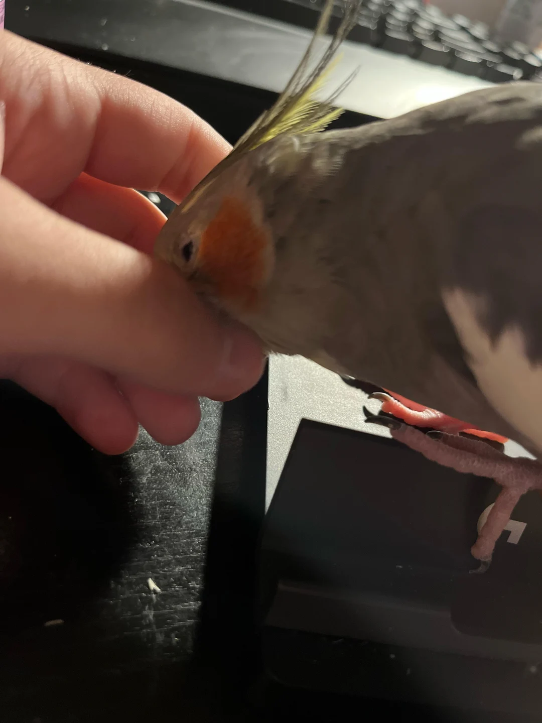 Bonding time with Austin ️ ️ | Scrolller