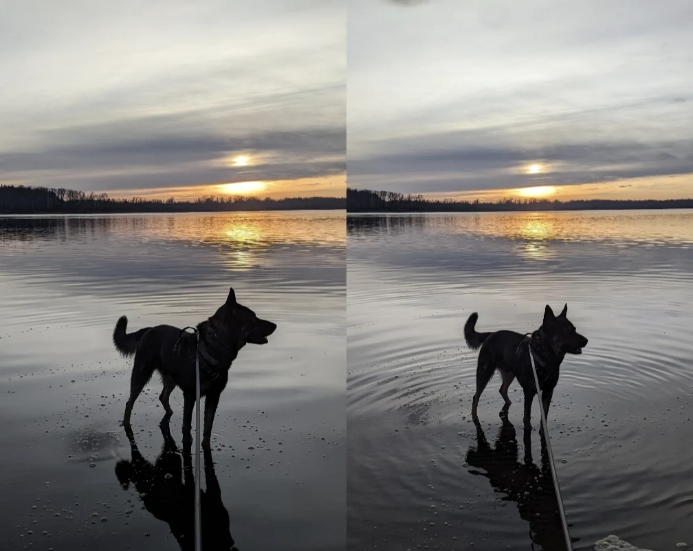 Spot the difference? | Scrolller