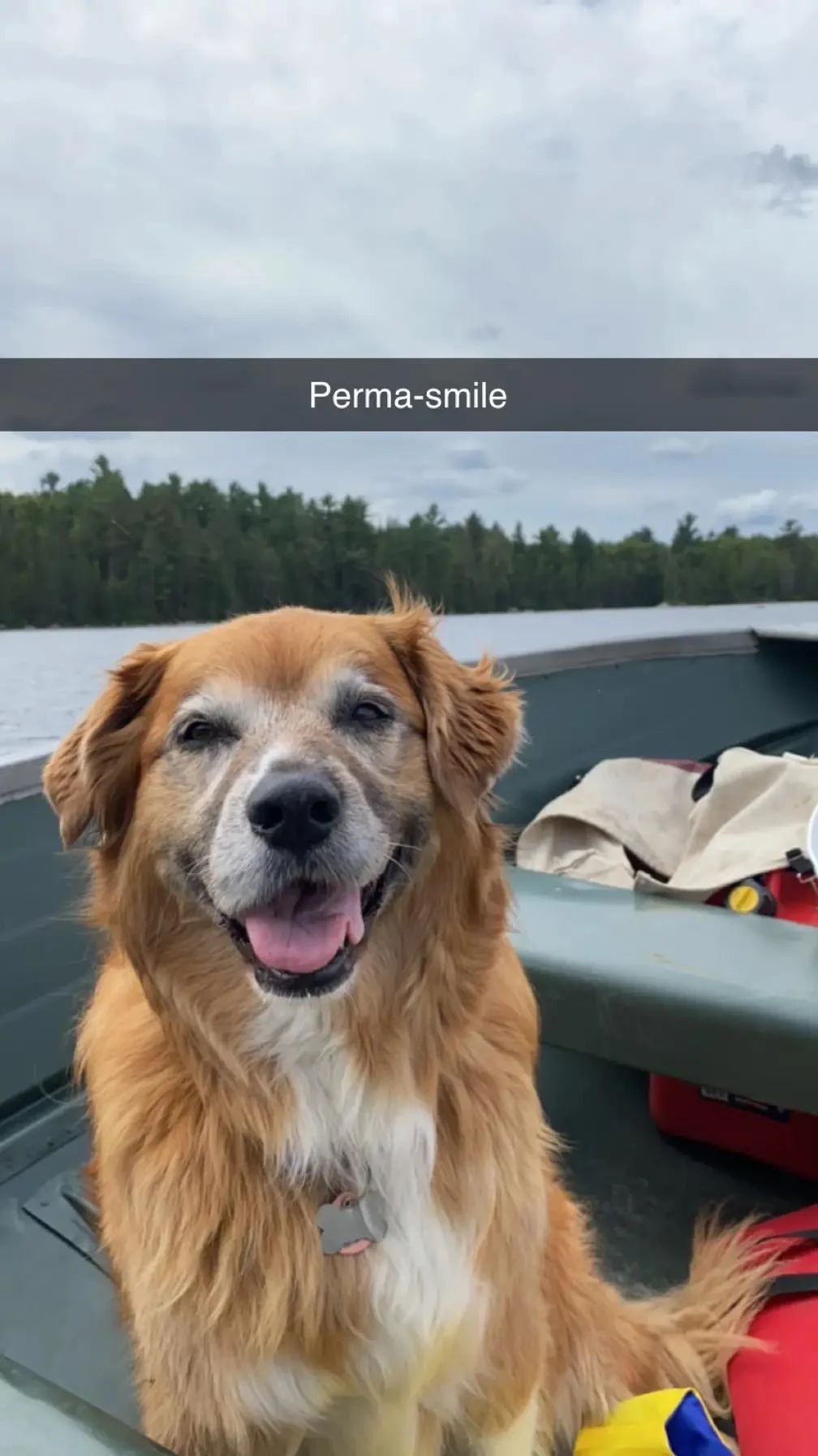 Always happy this gal | Scrolller